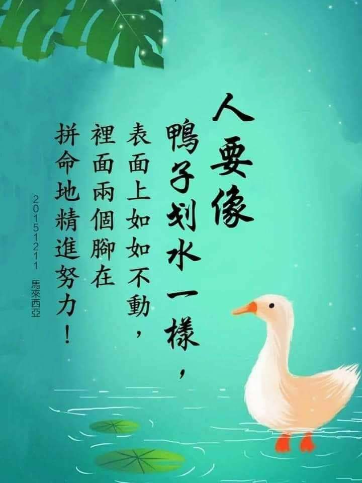 9103 美德醫療-DR - 何謂妖股呢？ 股票市場如戰場，...｜CMoney 股市爆料同學會