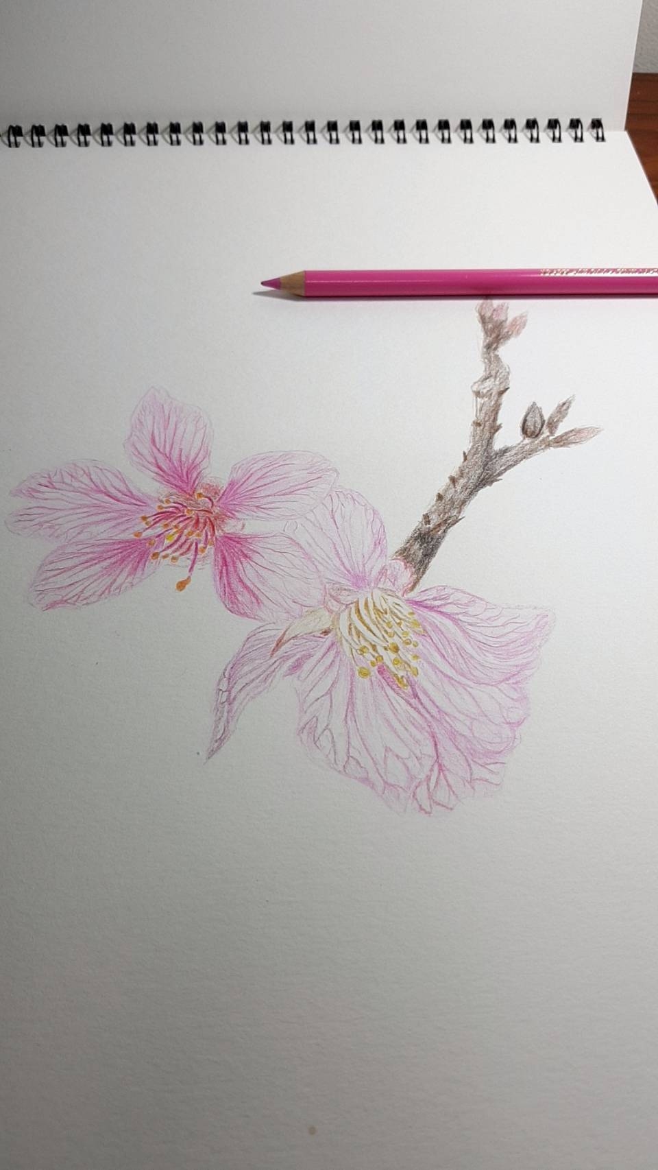 TWA00 加權指數 - 沒遇過海嘯只好 培養氣質去因為看不懂方向｜股市爆料同學會