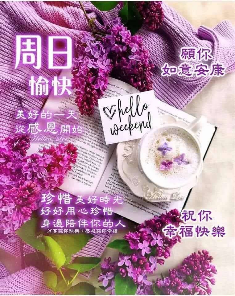 TWA00 加權指數 - 早安啊！朋友們，猛男辣妹們。 ...｜CMoney 股市爆料同學會