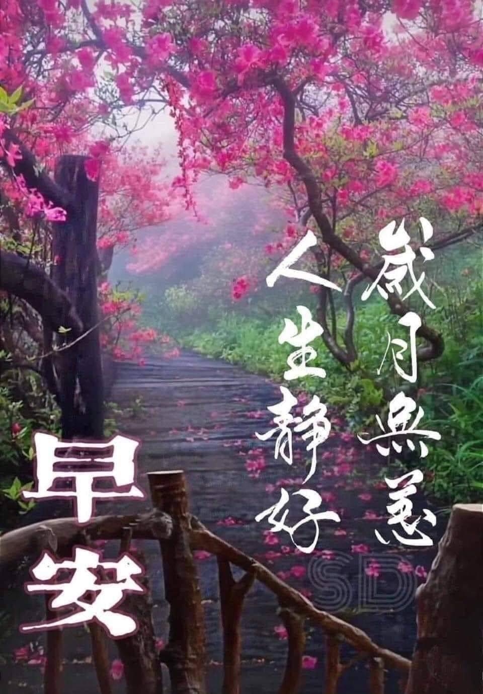 TWA00 加權指數 - 早安，各位大大，美眉帥哥們。｜股市爆料同學會