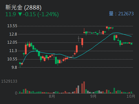 2888 新光金 - 各位大神，西瓜金您們會参加新新...｜CMoney 股市爆料同學會
