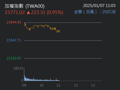TWA00 加權指數 - P將市價買進3379｜股市爆料同學會
