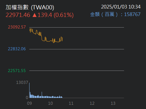 TWA00 加權指數 - 2025空頭年，加權和櫃買都在做大頭部， 一堆長倍股也在盤頭...｜股市爆料同學會