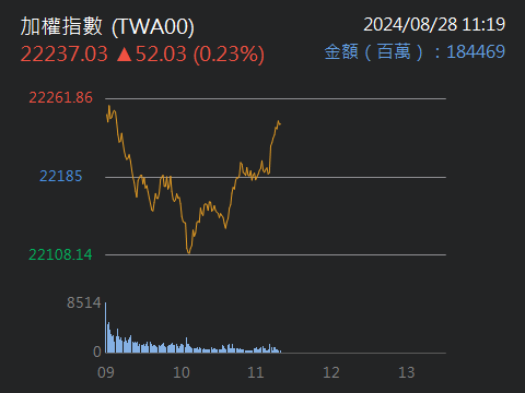 TWA00 加權指數 - 洗一堆人離場後再吃貨｜CMoney 股市爆料同學會