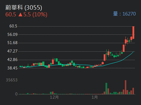 3055 蔚華科 - 過高｜CMoney 股市爆料同學會